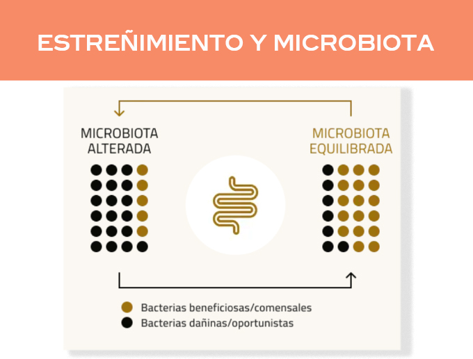 Causas de un tránsito intestinal lento y cómo combatirlo | Farmacia ...