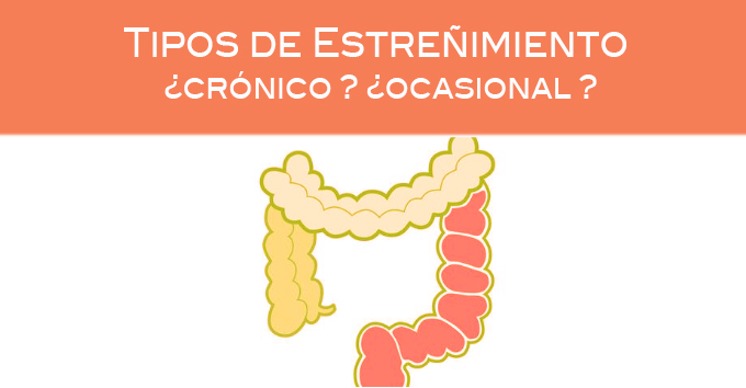 Causas de un tránsito intestinal lento y cómo combatirlo | Farmacia ...